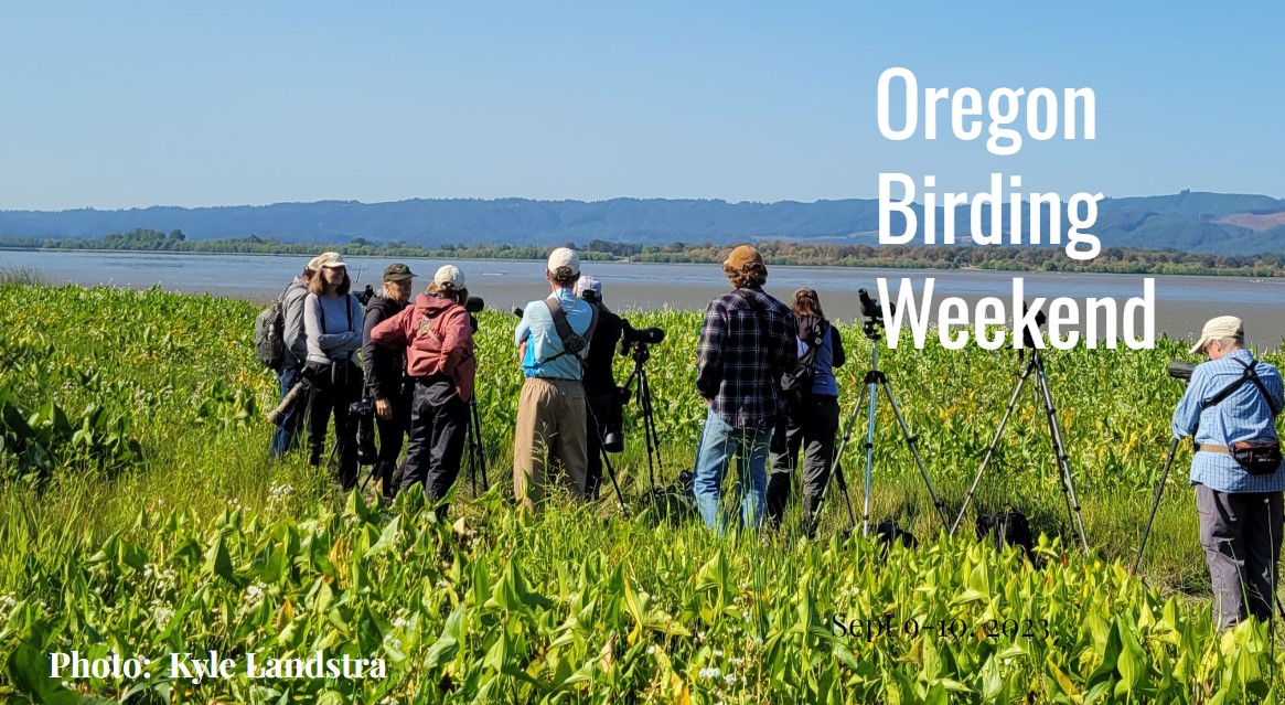 OBW photo | Oregon Birding Association